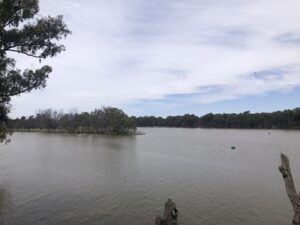 Interesting Facts About the Murray River: A Flowing Wonder