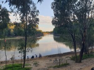 Interesting Facts About the Murray River: A Flowing Wonder