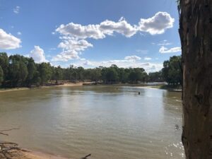 Interesting Facts About the Murray River: A Flowing Wonder