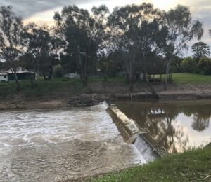 Discover Condobolin: A Hidden Gem in the Heart of NSW