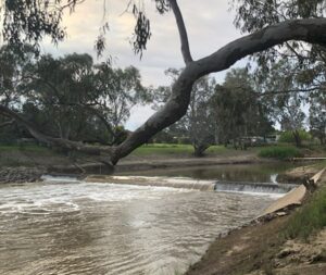 Discover Condobolin: A Hidden Gem in the Heart of NSW