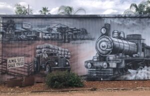 Dirranbandi QLD: Discover The Charm Of Rural Queensland