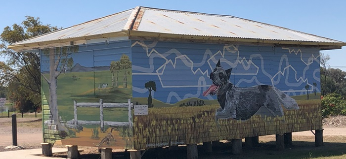 Exploring Wandoan QLD: A Hidden Gem In The Western Downs