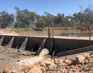 Dirranbandi QLD: Discover The Charm Of Rural Queensland
